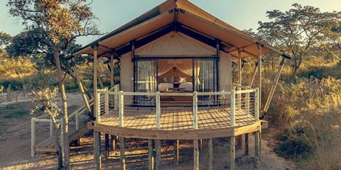 Bushtec Collections | Better. Best. Bushtec.